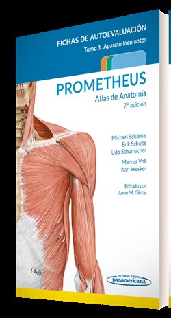 PROMETHEUS ATLAS DE ANATOMIA FICHAS DE AUTOEVALUACION - Livriz Sell ...