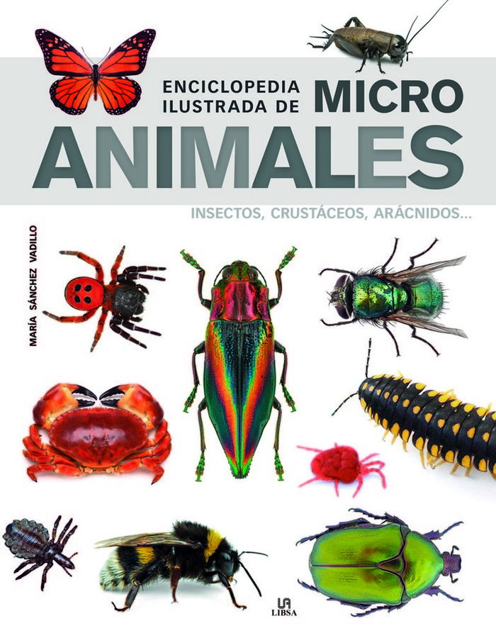 Enciclopedia Ilustrada de Micro Animales - Livriz Sell - Distribuidor ...