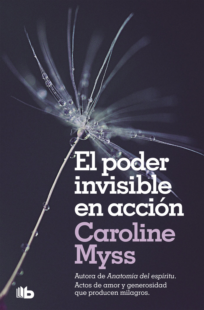 El poder invisible en acción - Livriz Sell - Distribuidor de Libros