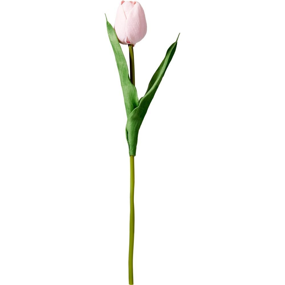 Tulipan 40Cm Colores Surtidos | Librería Online TROA. Comprar producto ...