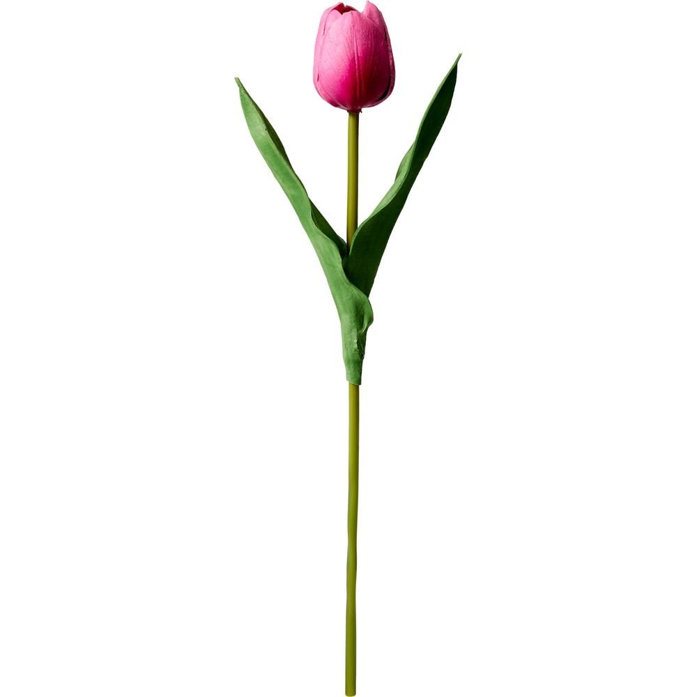 Tulipan 40Cm Colores Surtidos | Librería Online TROA. Comprar producto ...